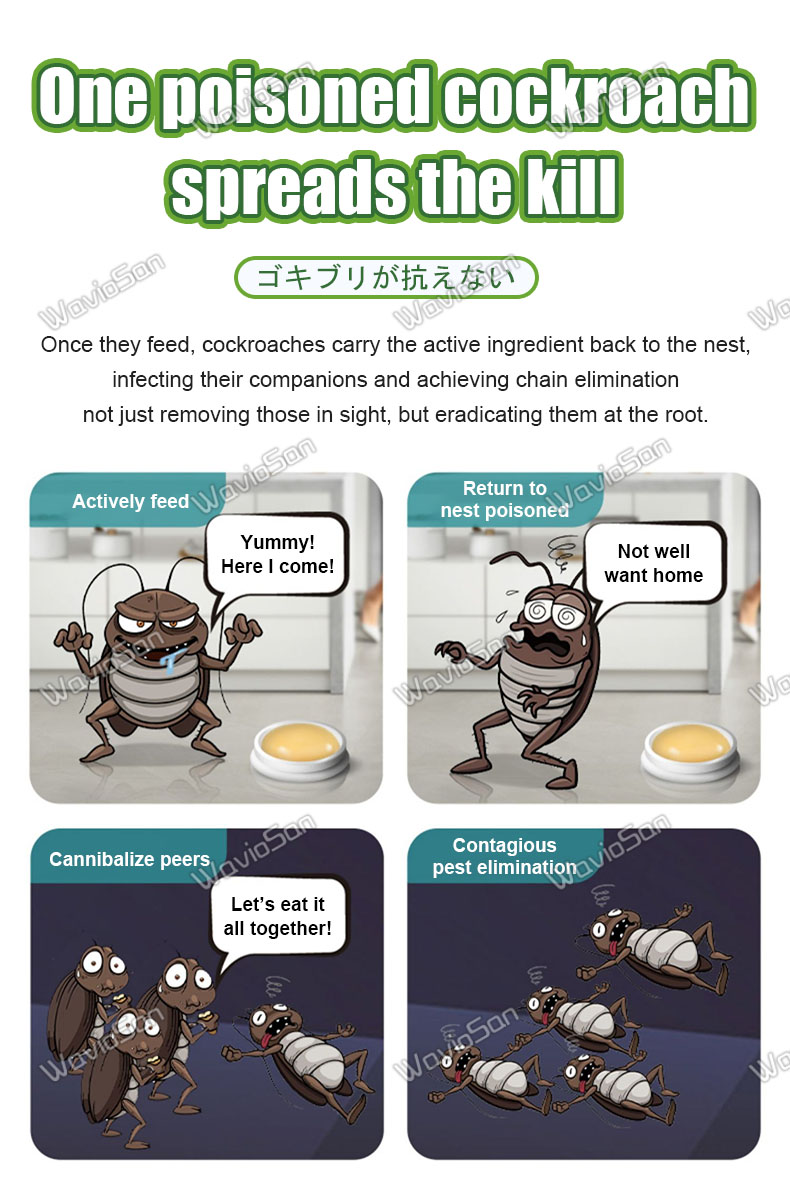 100% Kill Rate BS Cockroach killer Cockroach gel Cockroach killer gel ...