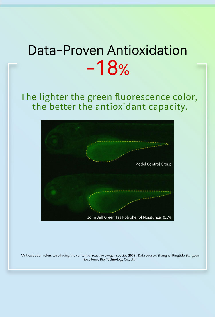 John Jeff Green Tea Polyphenol EGCG Cream Antioxidant Brightening ...