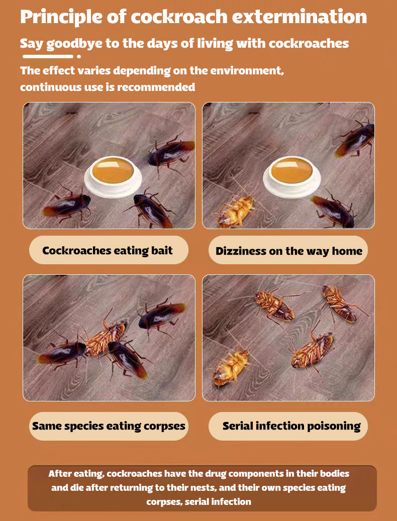 BUY 1 TAKE 1 whole nest death cockroach bait Cockroach mortality rate ...