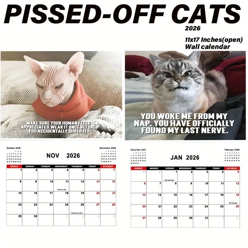 Angry Cat Calendar Wall Decoration 2026 Calendar - Fun Image | Shopee ...