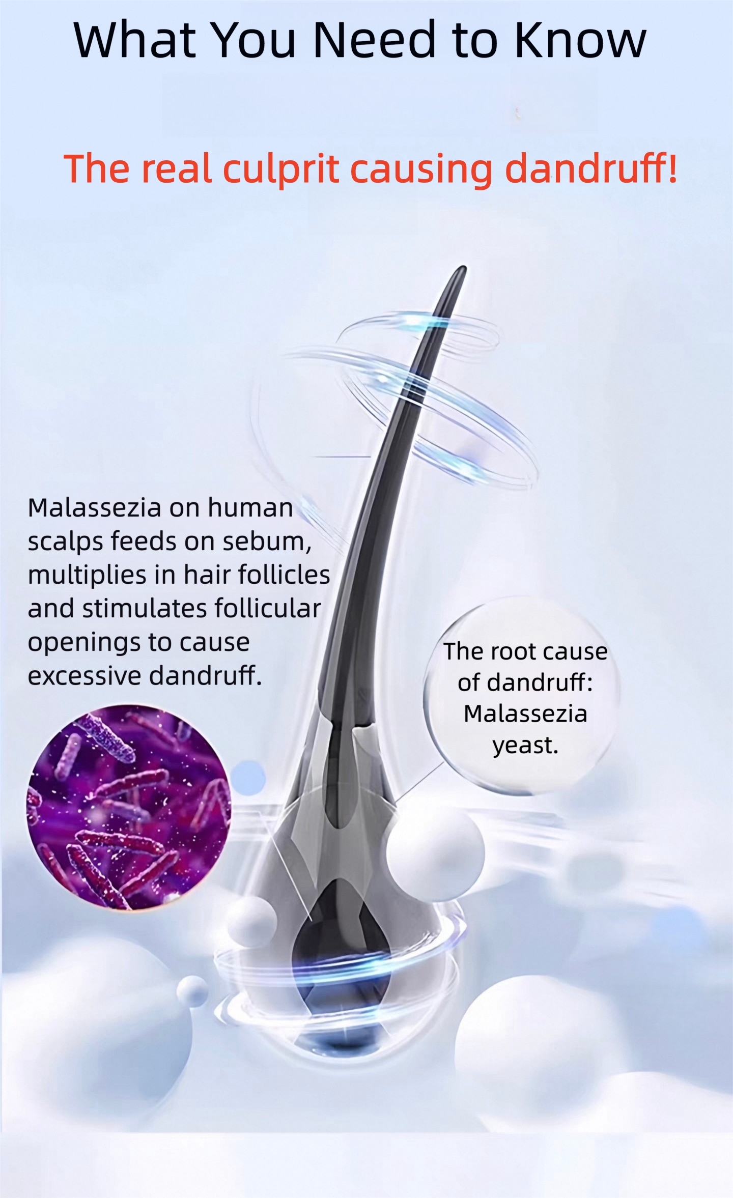 SELSUN Anti-Dandruff Shampoo Treatment 200ml (Selenium Sulfide) Oil ...