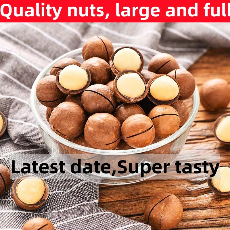 BUY 1 TAKE 1 Large Macadamia Nut Snacks Milky Flavor Nut Snacks ...