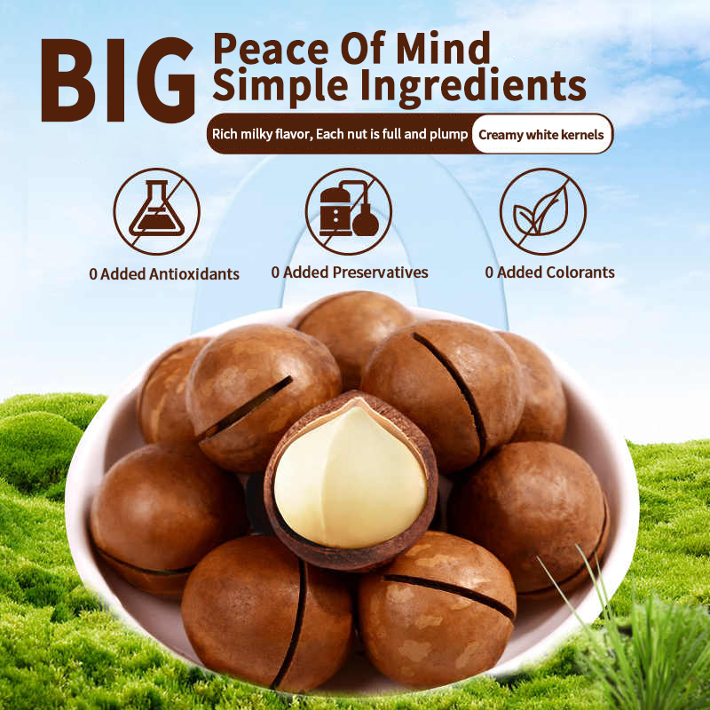 BUY 1 TAKE 1 Large Macadamia Nut Snacks Milky Flavor Nut Snacks ...