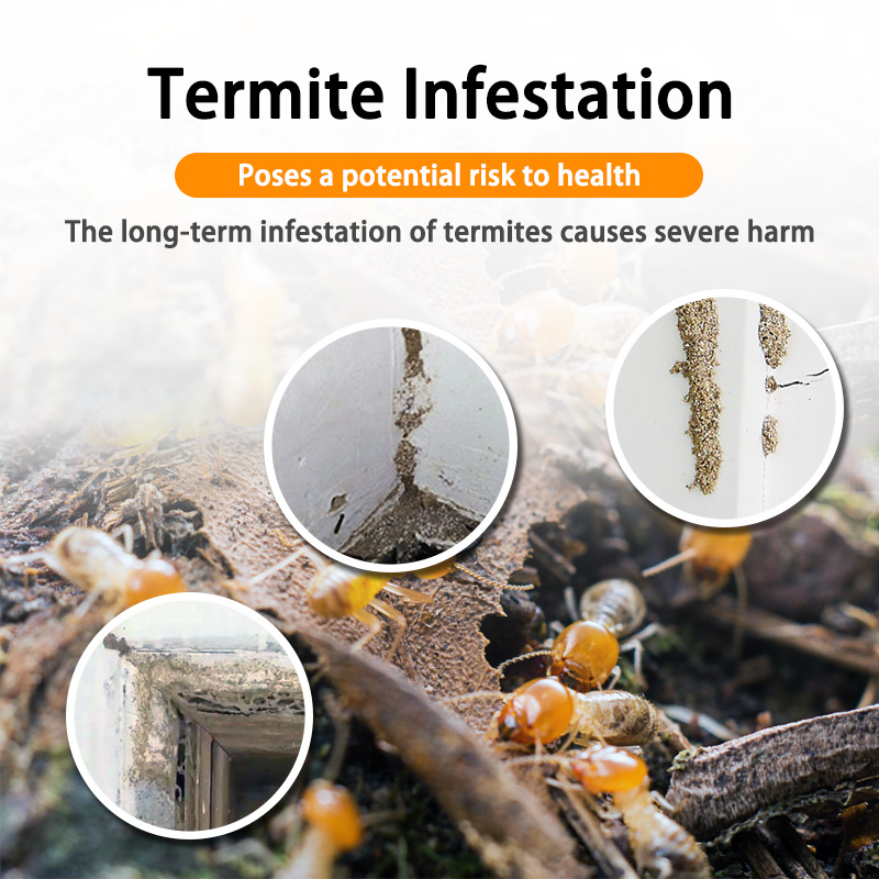 bukbok killer for wood 500ml anti anay for wood spray termite control ...