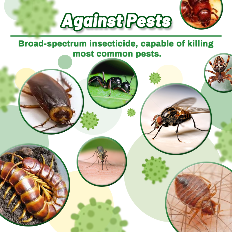 fast acting fly control concentrate 500ml pampatay ng langaw spray fly ...