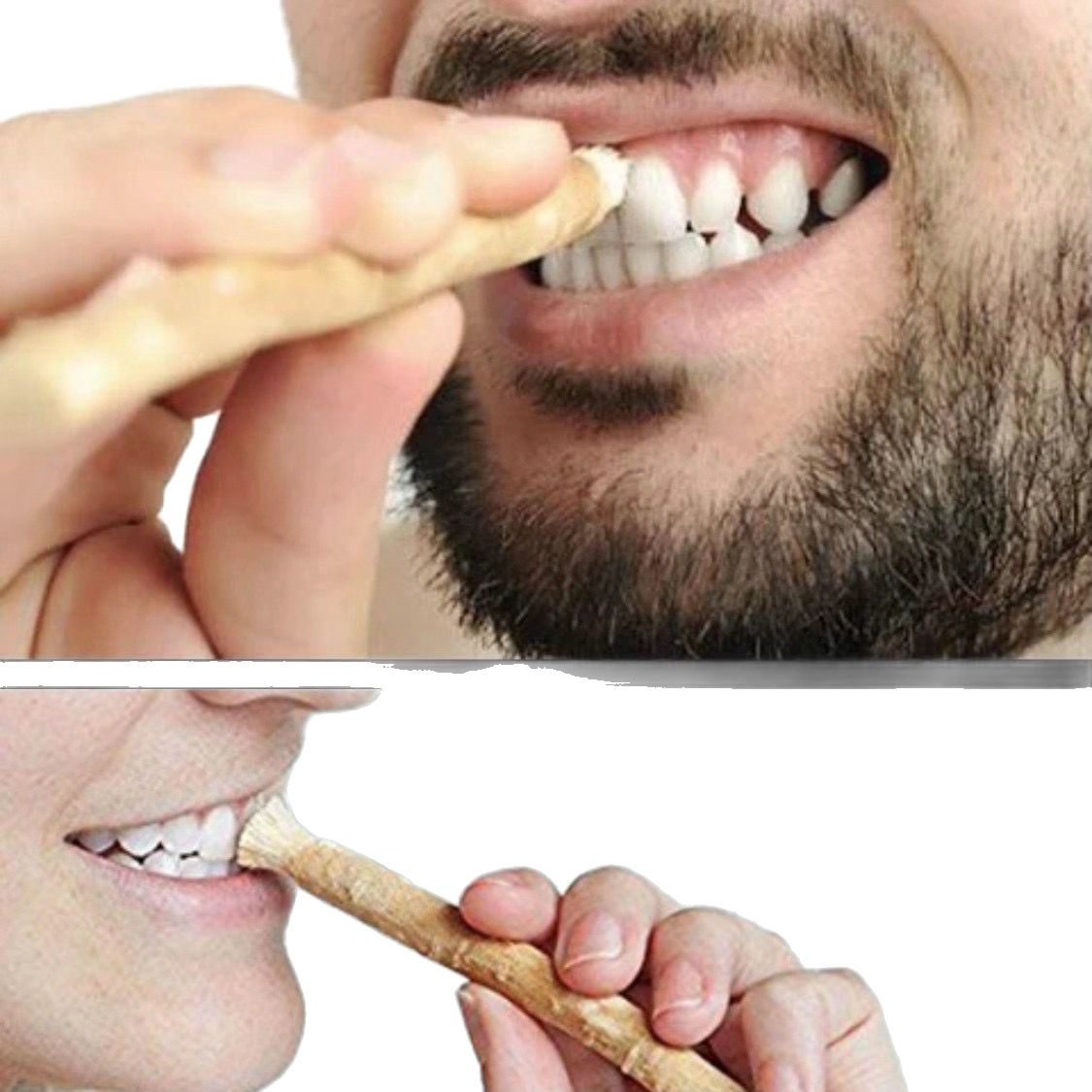 Miswak Natural Brushing Stick Care for Gums Healthy Fresh Breath Vacuum ...
