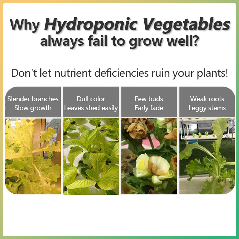 Hydroponic Solution 300ml Plant Growth Promoter Hydroponic Nutrient ...