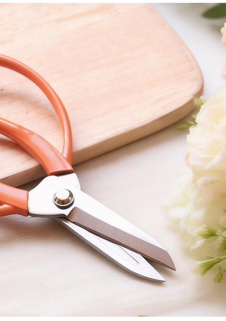 Florist scissors, pruning shears, ribbon/card/paper/flower cutting ...