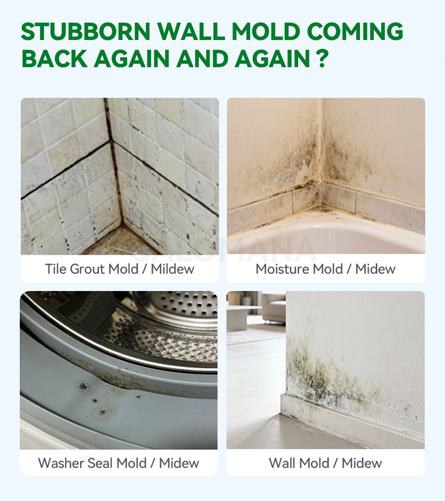 Mold & Mildew Killer Spray - Completely Eliminate Mold Safe Formula ...
