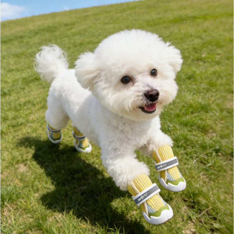 Pet Shoes 2 pack for Small Dogs Breathable Knit Dog boots Reflective ...