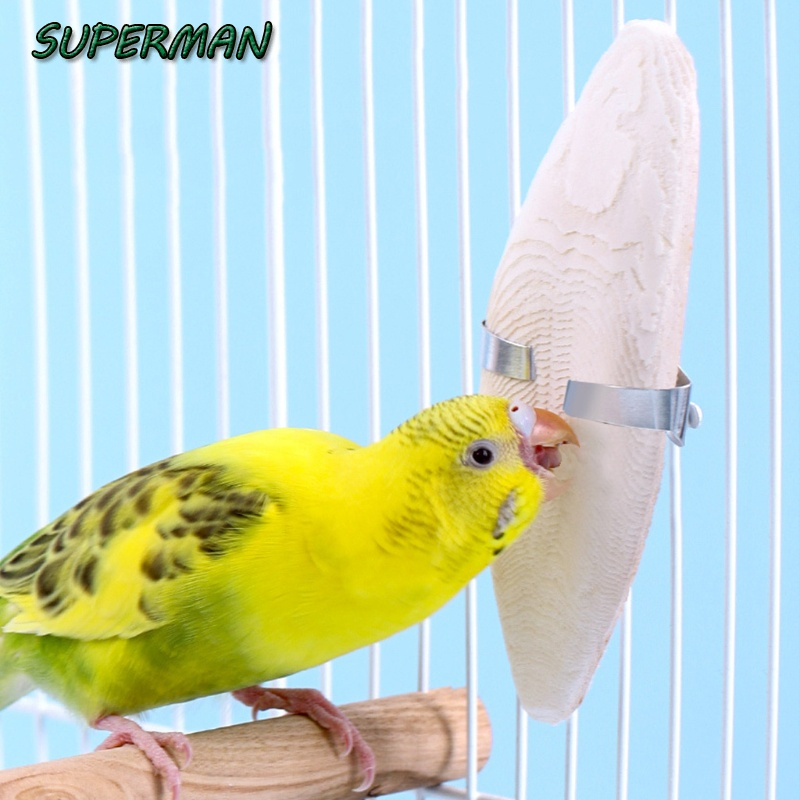 SPMH Bird Cuttlebone for Parakeets Deep Sea Cuttle Bone with Metal ...