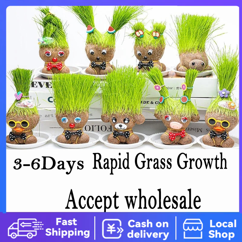 Room Decor Children Growing Office Table Plant Decor grassheads doll ...