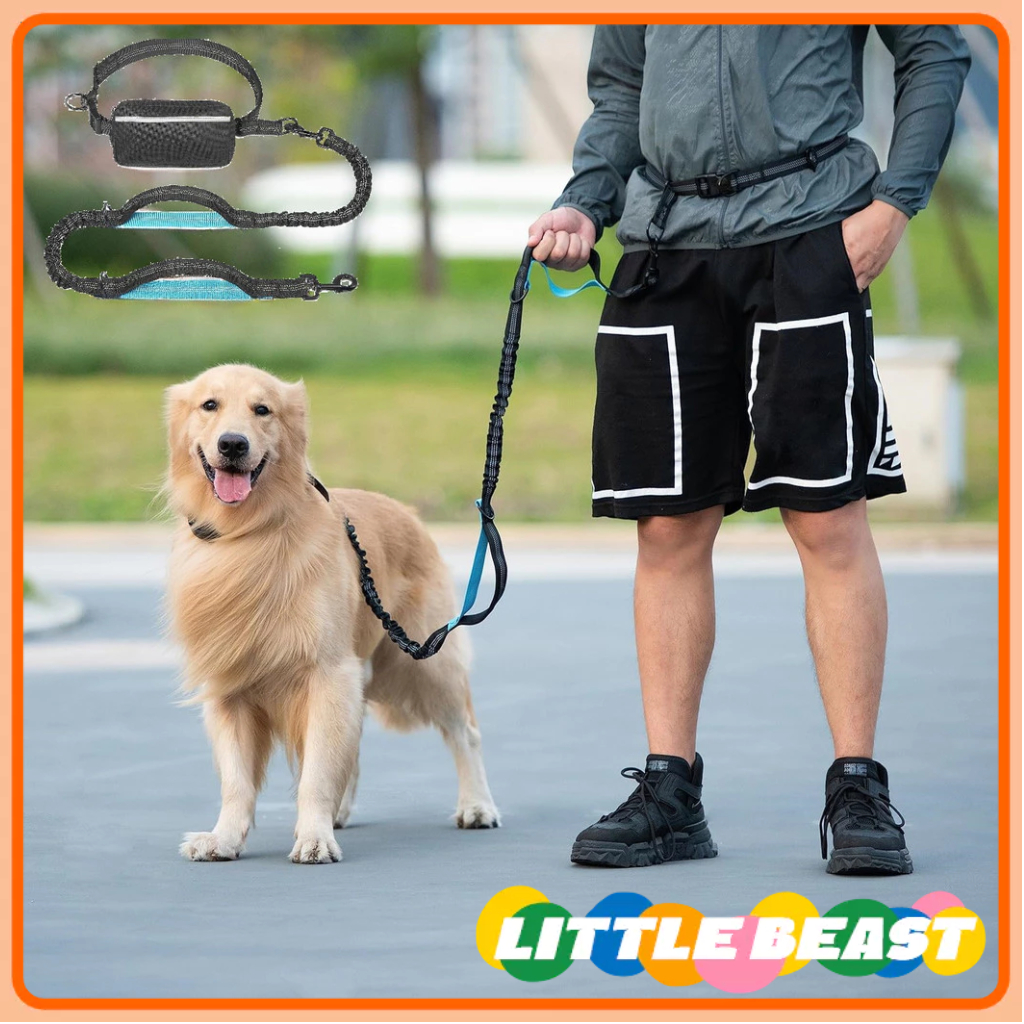 2025 Newest Hands Free Dog Leash with Zipper Pouch, Dual Padded Handles ...