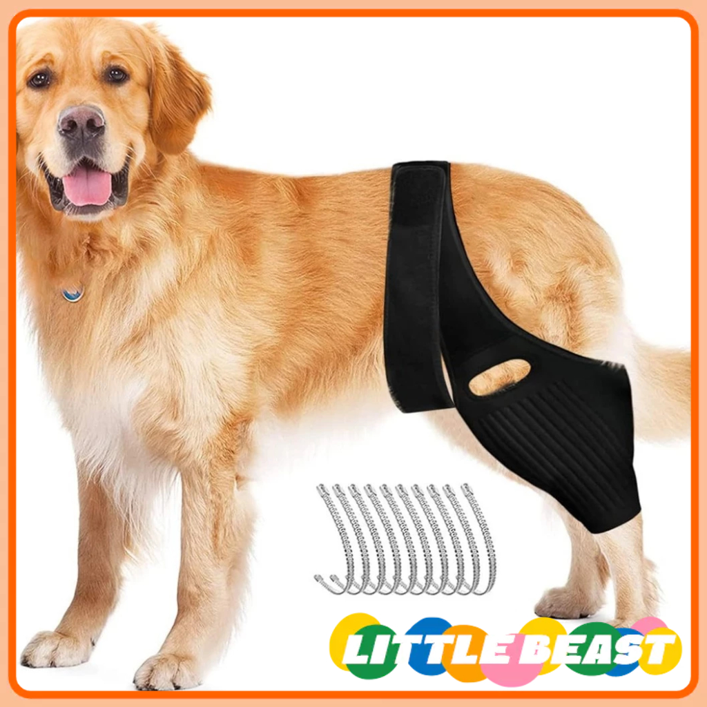 Dog Knee Brace for Torn ACL Hind Leg - Adjustable ACL Brace for Dogs ...