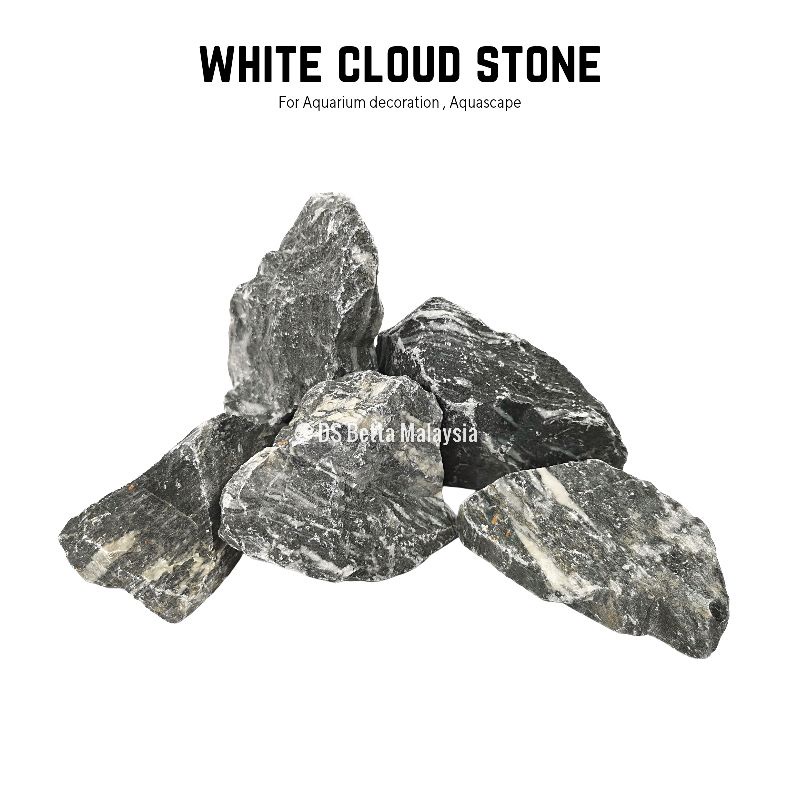 Aquascape White Cloud Stone / Rock decoration for aquarium. Batu Hiasan akuarium ikan | Shopee ...