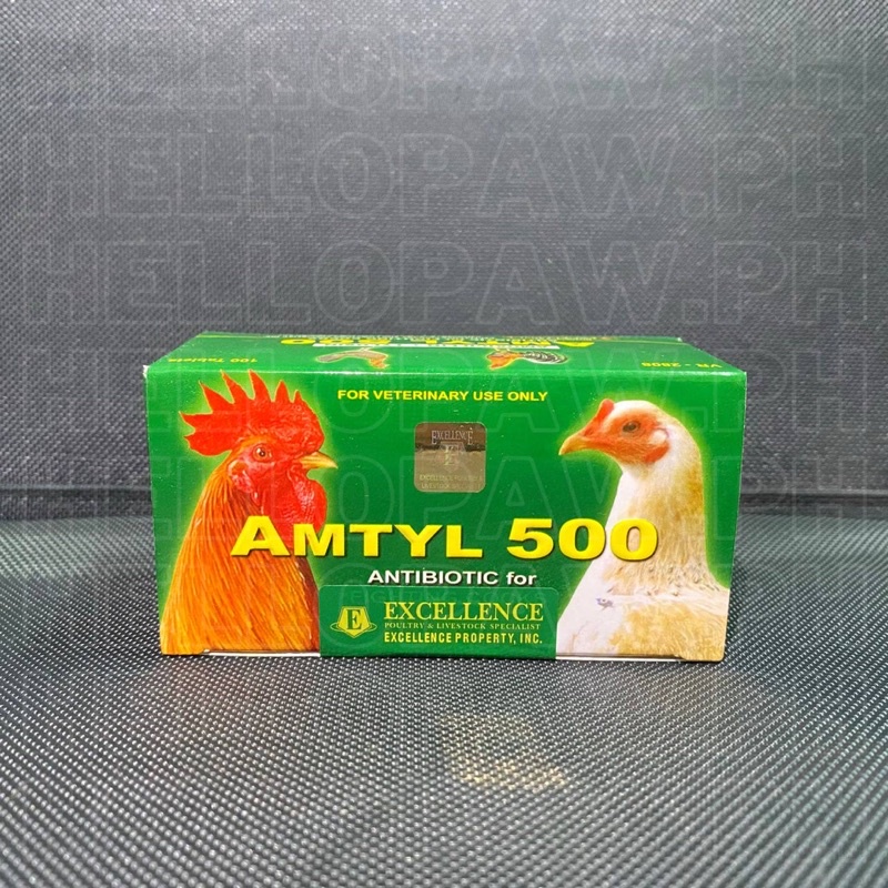 Amtyl 500 100 tablets (ACTUAL PIC) | Shopee Philippines
