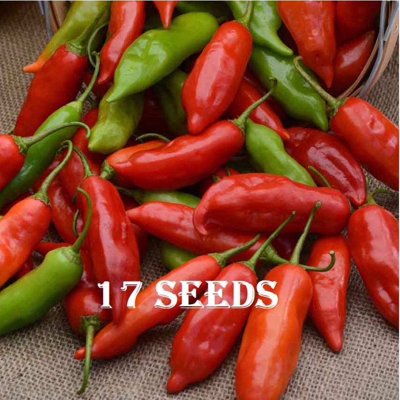 conic / cone pepper seeds - 25pesos per pack - condor vegetable ...