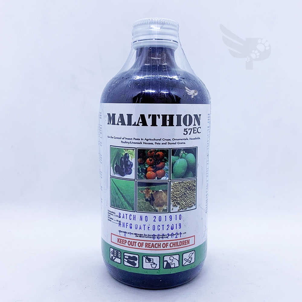 Malathion 57EC 250ml - Insecticide - Pesticide - petpoultryph | Shopee ...