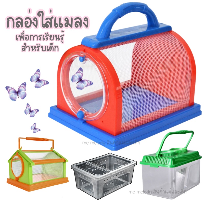 Insect Box Raising Butterfly Small House For Studying Life Cycle ...
