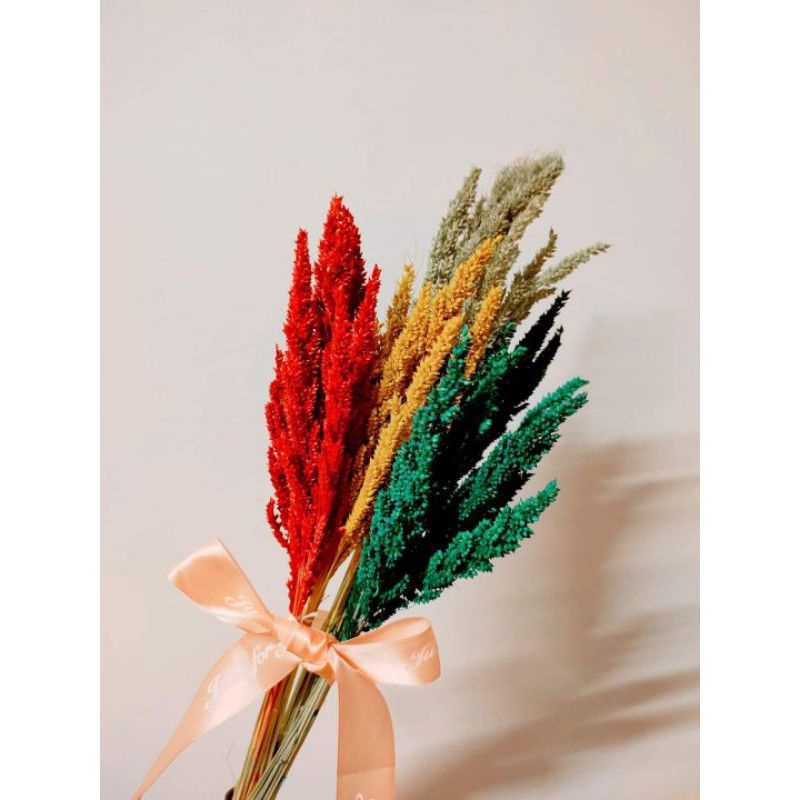 5stems Dried Local Trigo Real flower Dried Hare | Shopee Philippines