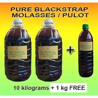 molasses - Best Prices and Online Promos - Jan 2026 | Shopee Philippines