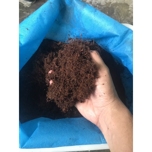 1 kilogram super low-ppm cocopeat | Shopee Philippines