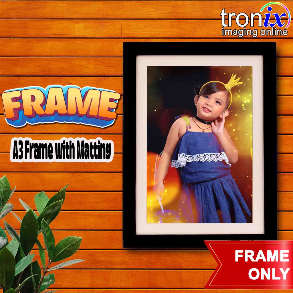 Tronix Imaging A3+ Picture Frame With Matting For 13x19 Size Photo ...
