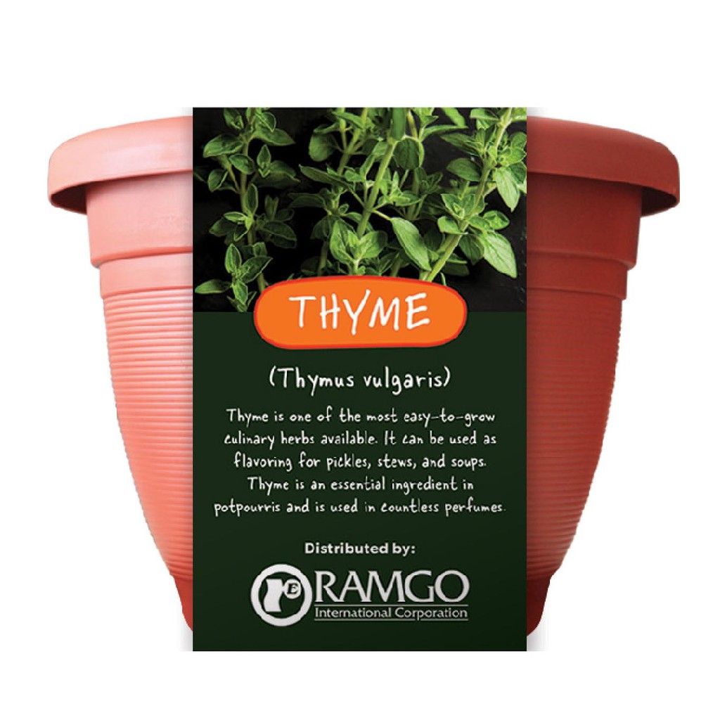 Ramgo Grow Kit THYME GDSFPH_S4 | Shopee Philippines