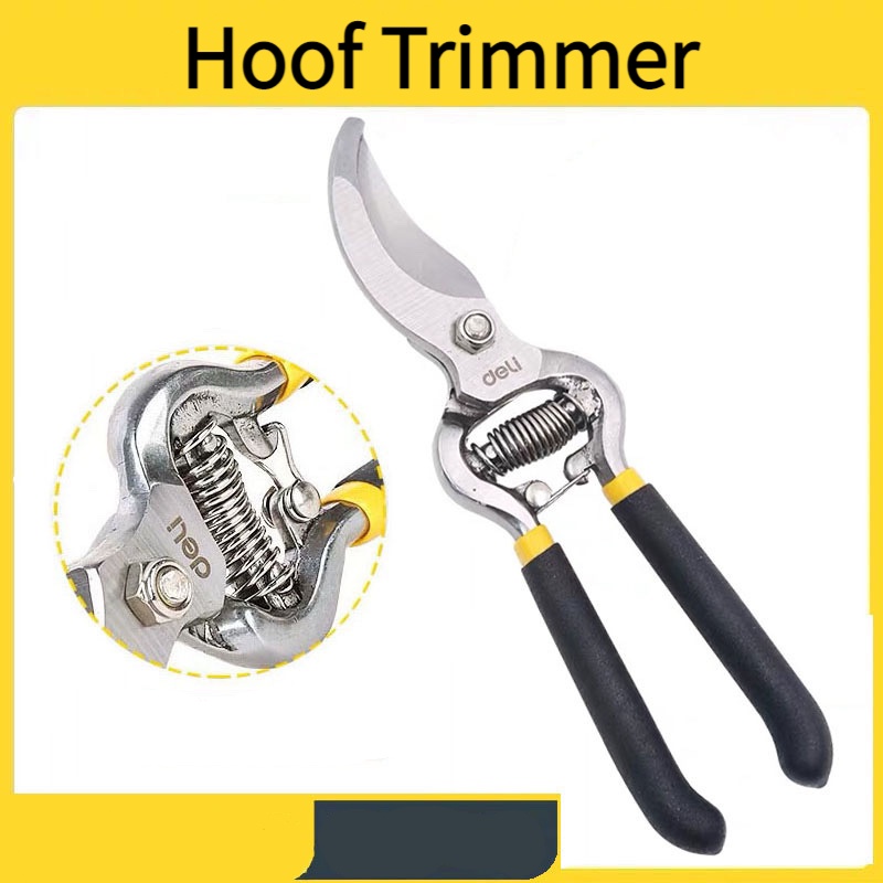 Hoof Trimmer for Goats. Use for cutting excess hoof of goats | Shopee ...