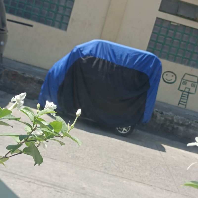 Ervs Ervs2 ervs3 ETRIKE NWOW AVIA SUPREMO SOMERO JOHNSON 3WHEELS ALL ...