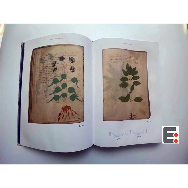 The Voynich Manu* Voynich Manuscript Medieval Mysterious Illustration ...