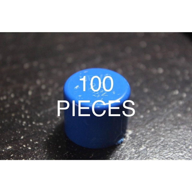 PVC Blue End Cap 1/2" (20mm) 100pcs Fittings | Shopee Philippines