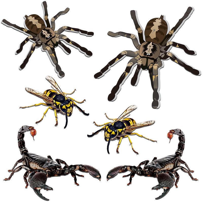 Car Unique 3D Three-Dimensional Spider Scorpion Bee Car Sticker ...