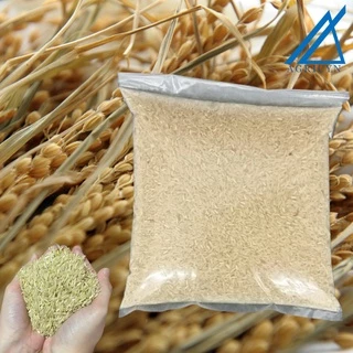 brown rice - Best Prices and Online Promos - Mar 2025 | Shopee Philippines