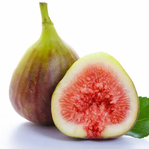 20pcs KING FIGS SWEET FRESH VIABLE 50 SEEDS COLD TOLERANT & DECADENT ...