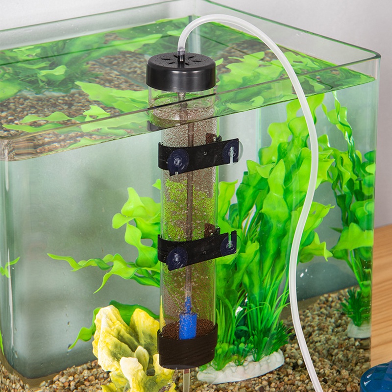 Fish Tank Brine Shrimp Hatcher Aquarium Artemia Eggs Incubator Tool ...