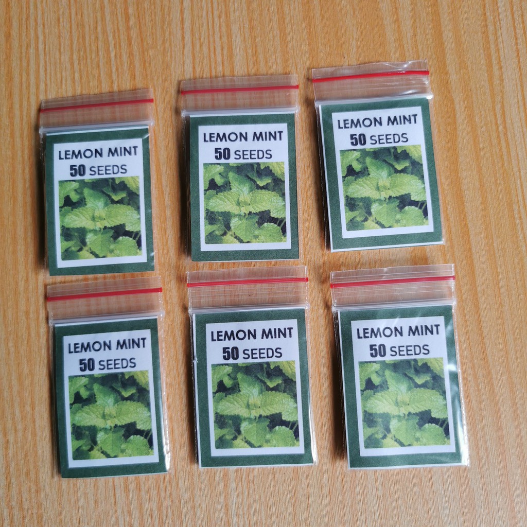 Lemon Mint seeds by Lemonique Farms and Mini Store | Shopee Philippines