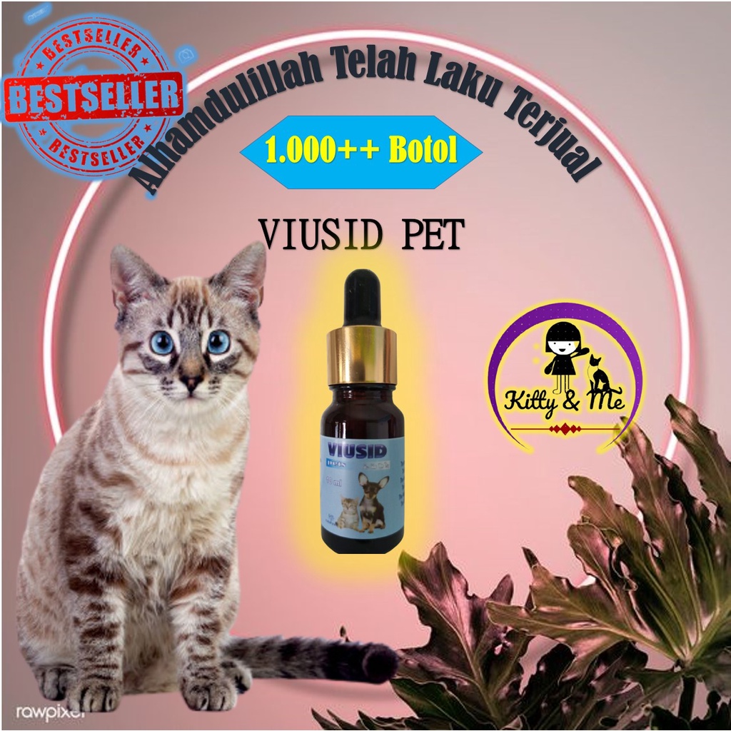 Viusid Pet 10ml Veterinary Medicine Cat Dog Sick Flu Cold Cough Fever ...