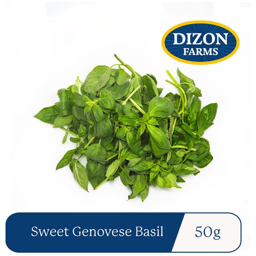 Dizon Farms - Sweet Genovese Basil / 50g | Shopee Philippines