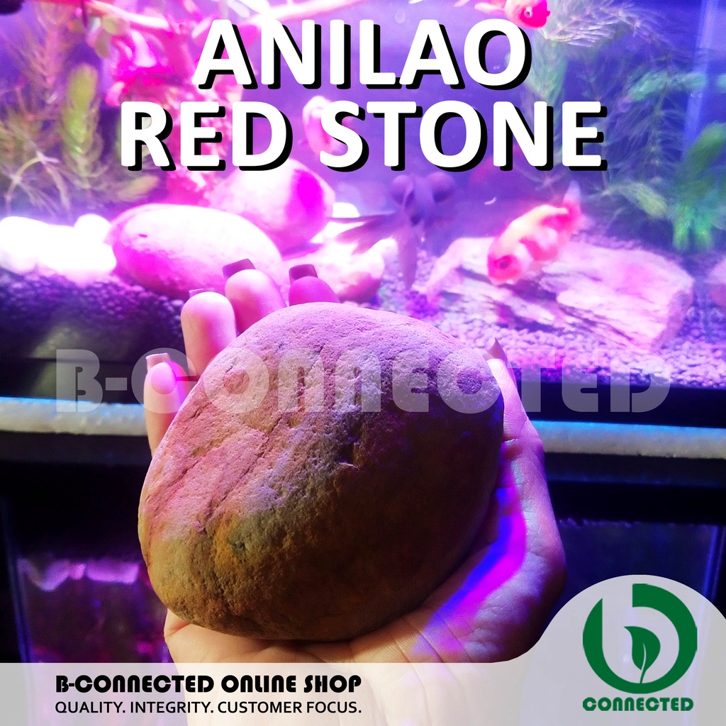RED STONE BIG STONES - AQUARIUM STONE ROCK / AQUASCAPE / HOME GARDEN ...