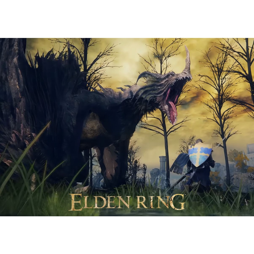 Elden Ring Posters / High Quality Posters / Laminated Posters / PS4 PS5 ...