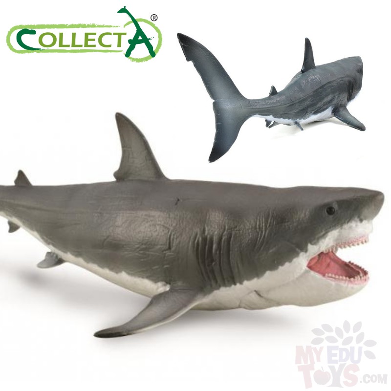 Megalodon with Movable Jaw Deluxe 1:60 Scale - Collecta 88887 ...