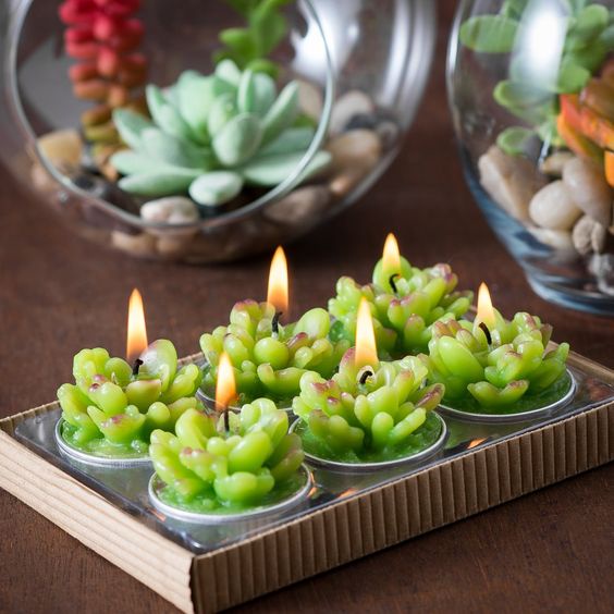 SCENTED SUCCULENT CANDLE (Giveaway/Souvenir/Display) | Shopee Philippines