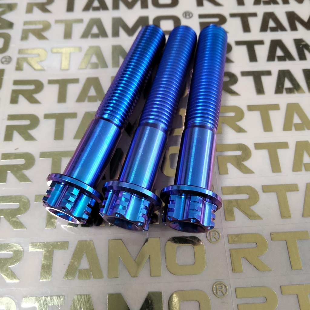 RTAMO Titanium Gr5 SwingArm Bolt Nmax Aerox Xmax Nmax V1/V2/V2.1 ...