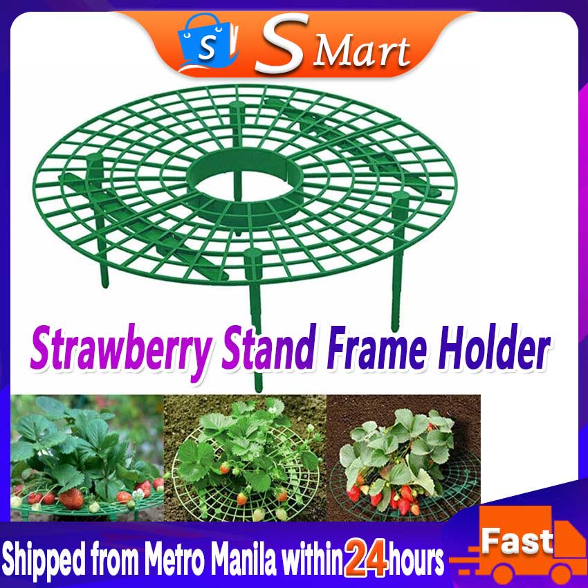 Strawberry Stand Frame Holder Balcony Planting Rack Fruit Support Plant ...