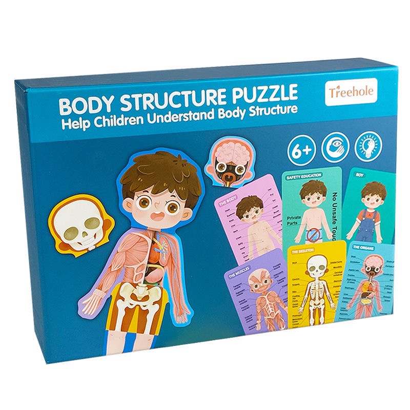 New! Body Structure Puzzle Boy Girl Safe Education Cognitive | Shopee ...