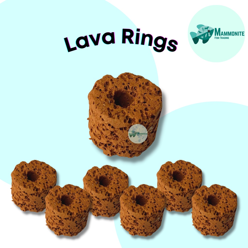Aquarium Bio Lava Ring Filter Media 250g / Aquarium Mini Lava Ring 250g ...