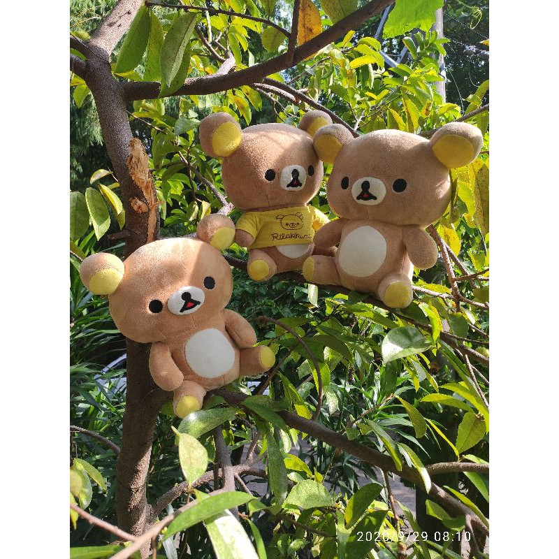 Rilakkuma kori kiroi sumikko | Shopee Philippines