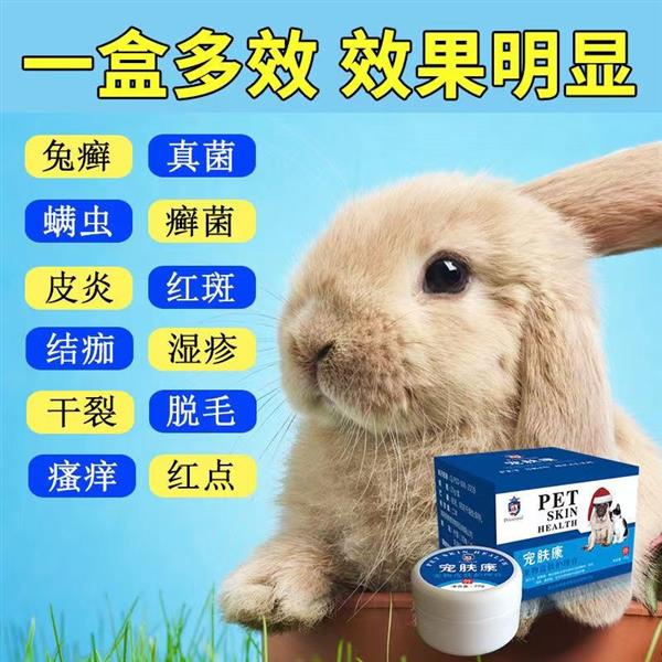 Rabbit Skin Disease Dedicated Ointment Rotten Foot Irmatitis Fungus ...