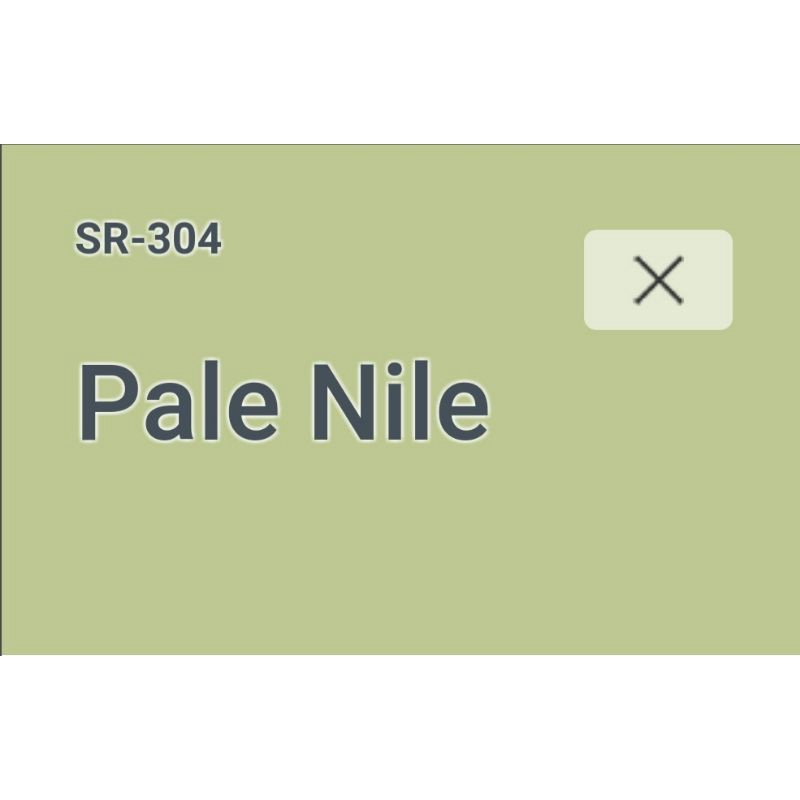 DAVIES SUN&RAIN ODOURLESS ELASTOMERIC WATERPROOFING PAINT (4liters ...